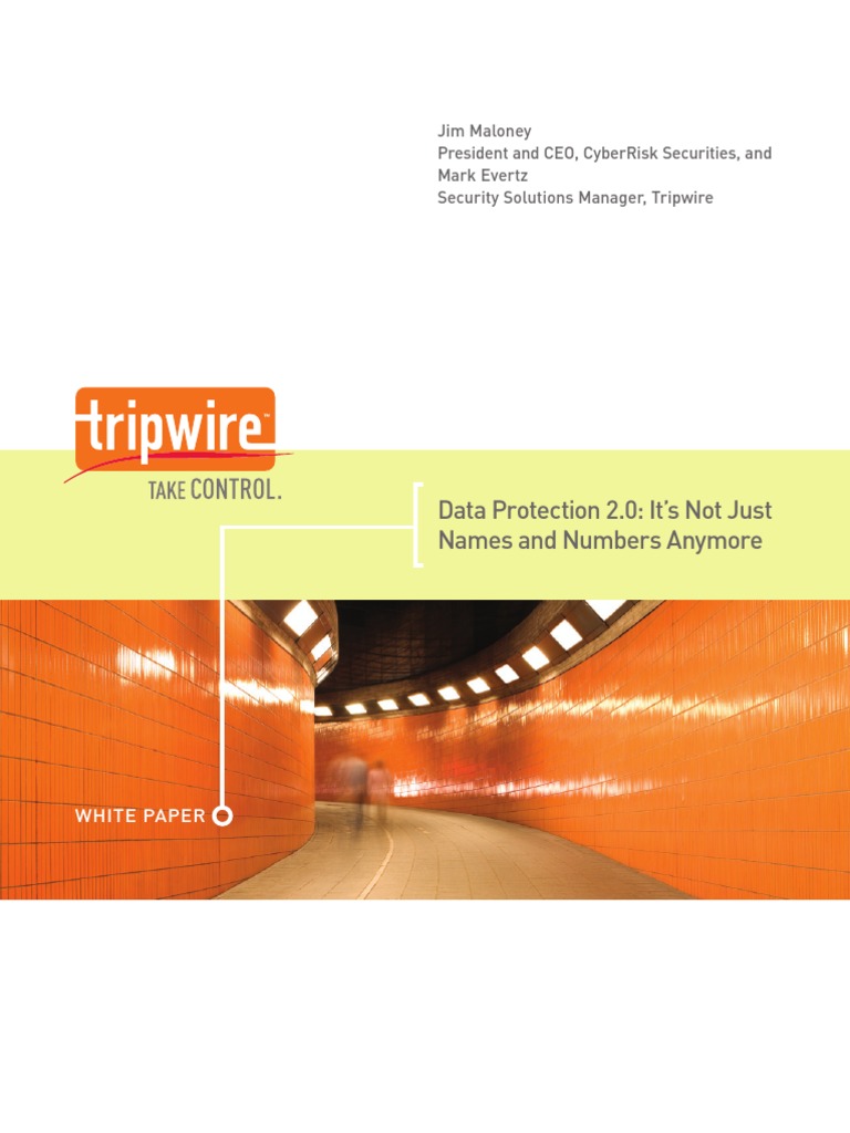 1 10527 Tripwire Data Protection 2 0 WP | PDF | Computer Security | Security