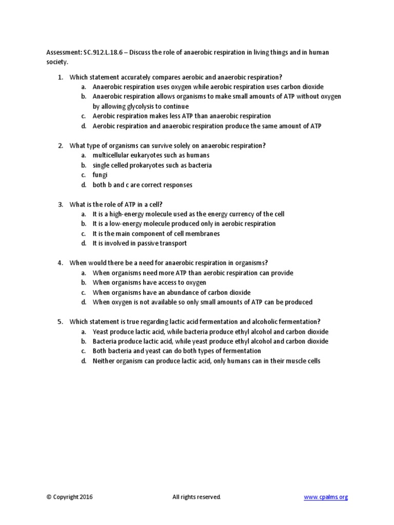Yeast Lab Preand Post Assessment | PDF | Cellular Respiration ...