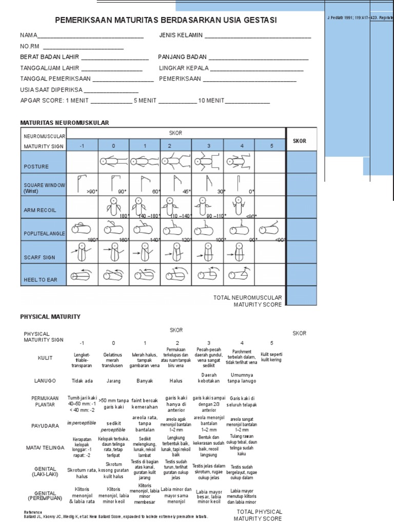Ballard Score Indonesia | PDF