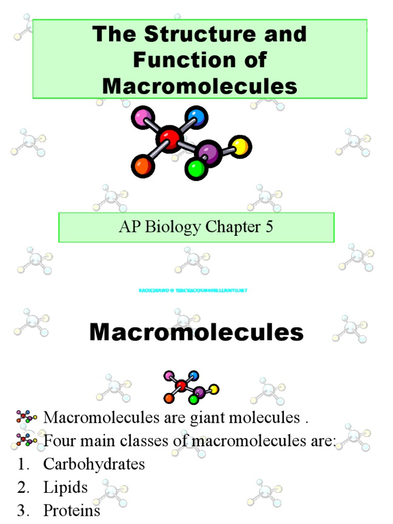 The Structure and Function of Macromolecules: AP Biology Chapter 5 ...