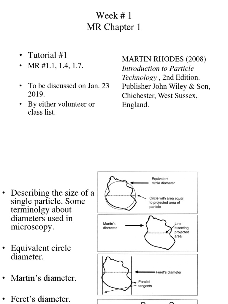 Particle Characterization: Describing Particle Size, Shape, and ...
