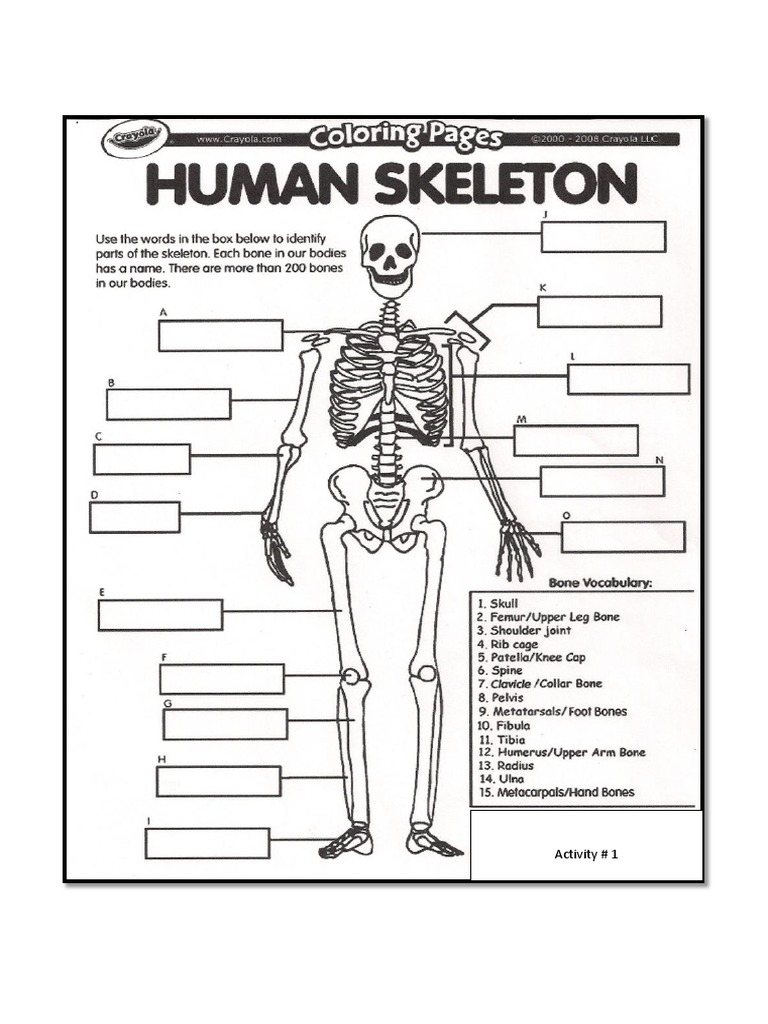 Activity #1 Overview | PDF