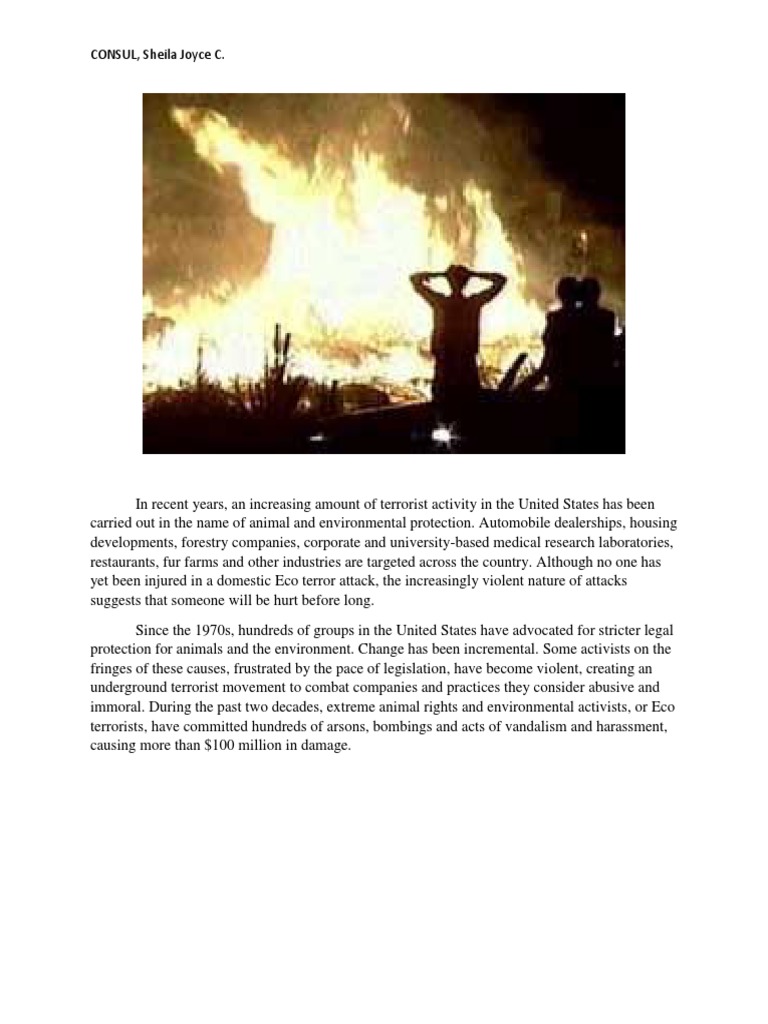 CONSUL, Sheila Joyce C | PDF