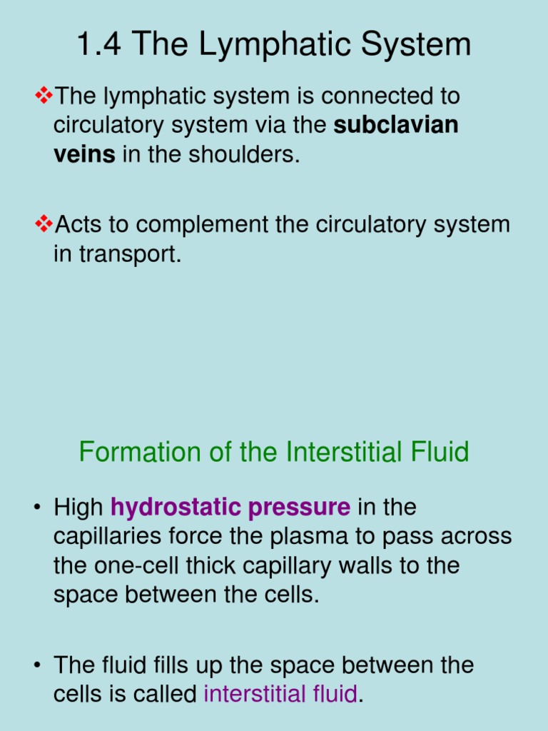Chapter 1 Biology Form 5: The Lymphatic System | PDF