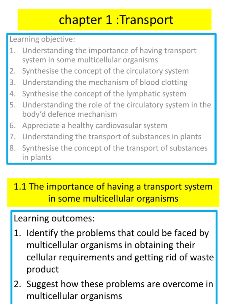 Transport Systems in Multicellular Organisms | PDF | Granulocyte ...