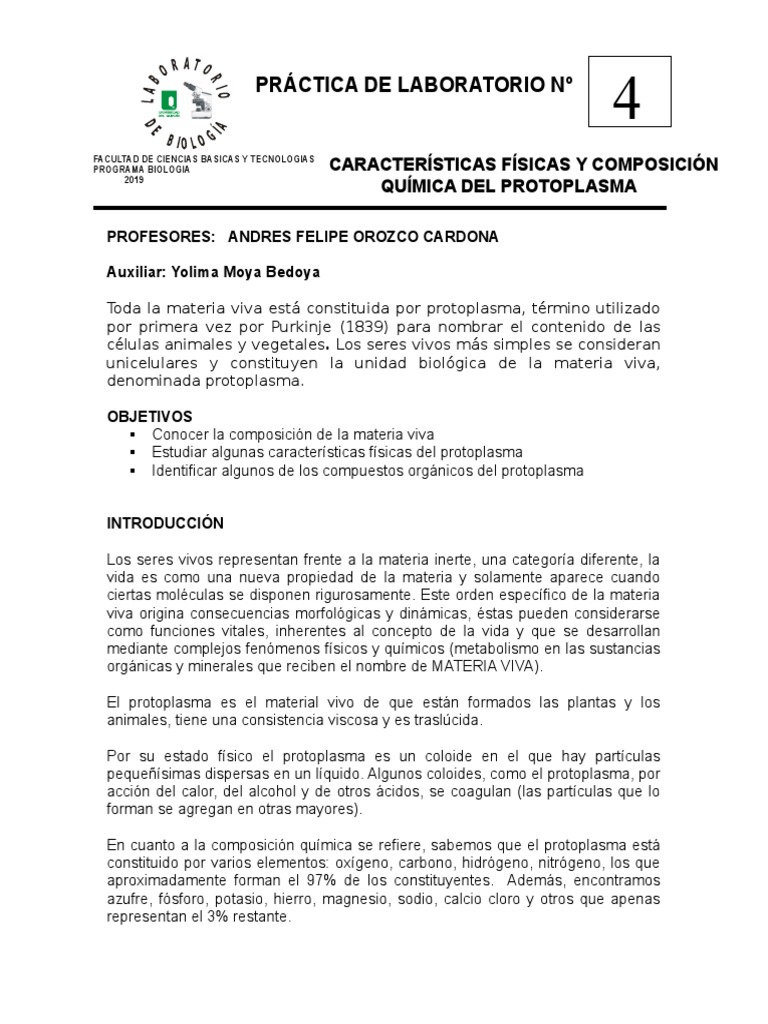 Lab. 4. Composicion Protoplasma | PDF | Biomoléculas | Organismos