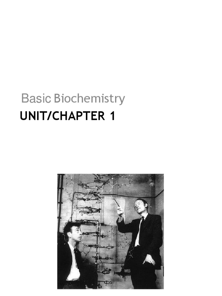 1 2intro History | PDF