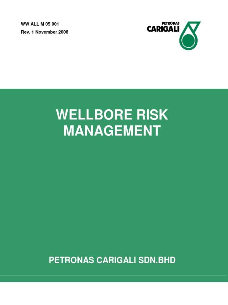 Well Bore Risk Management | PDF | Casing (Borehole) | Heat Treating