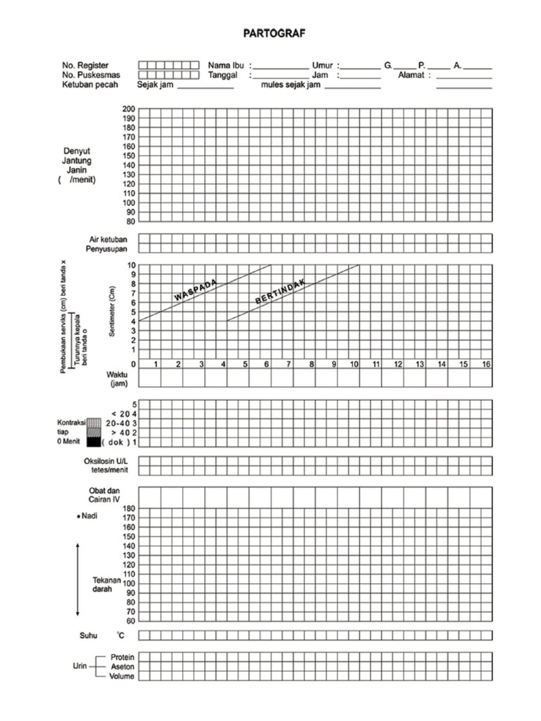 Partograf Persalinan | PDF