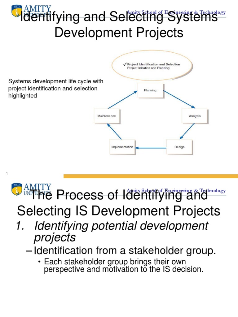 Identifying and Selecting Systems Development Projects | PDF | Top Down And Bottom Up Design ...