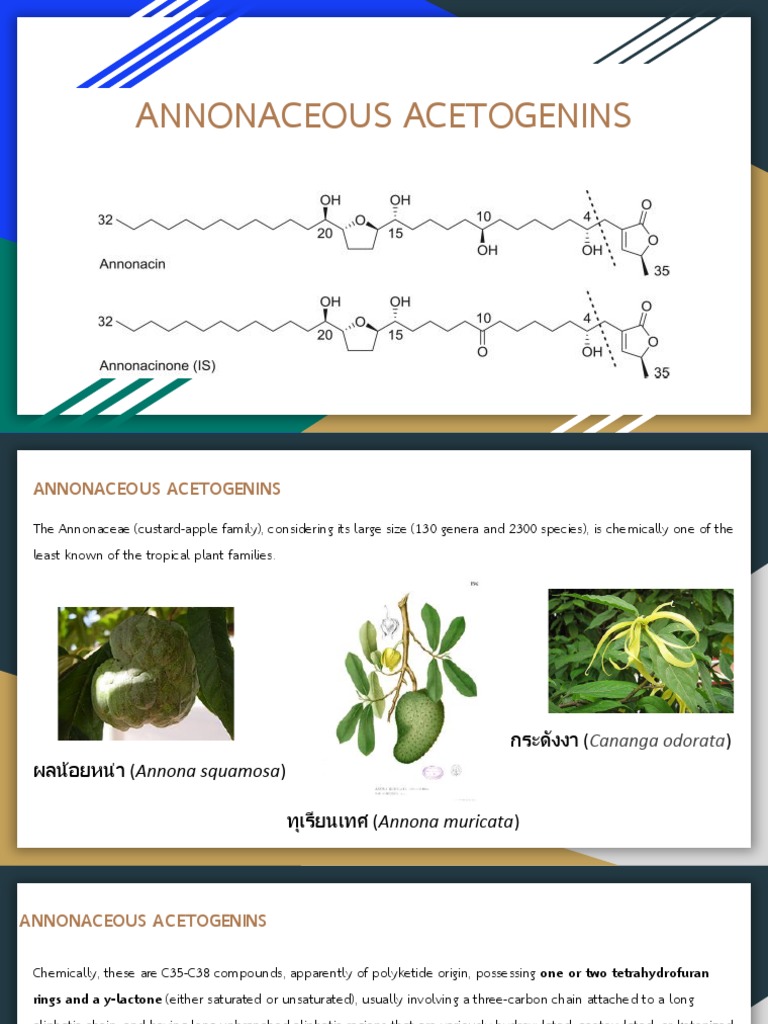 Annonaceous Acetogenins | PDF | Organic Chemistry | Chemistry