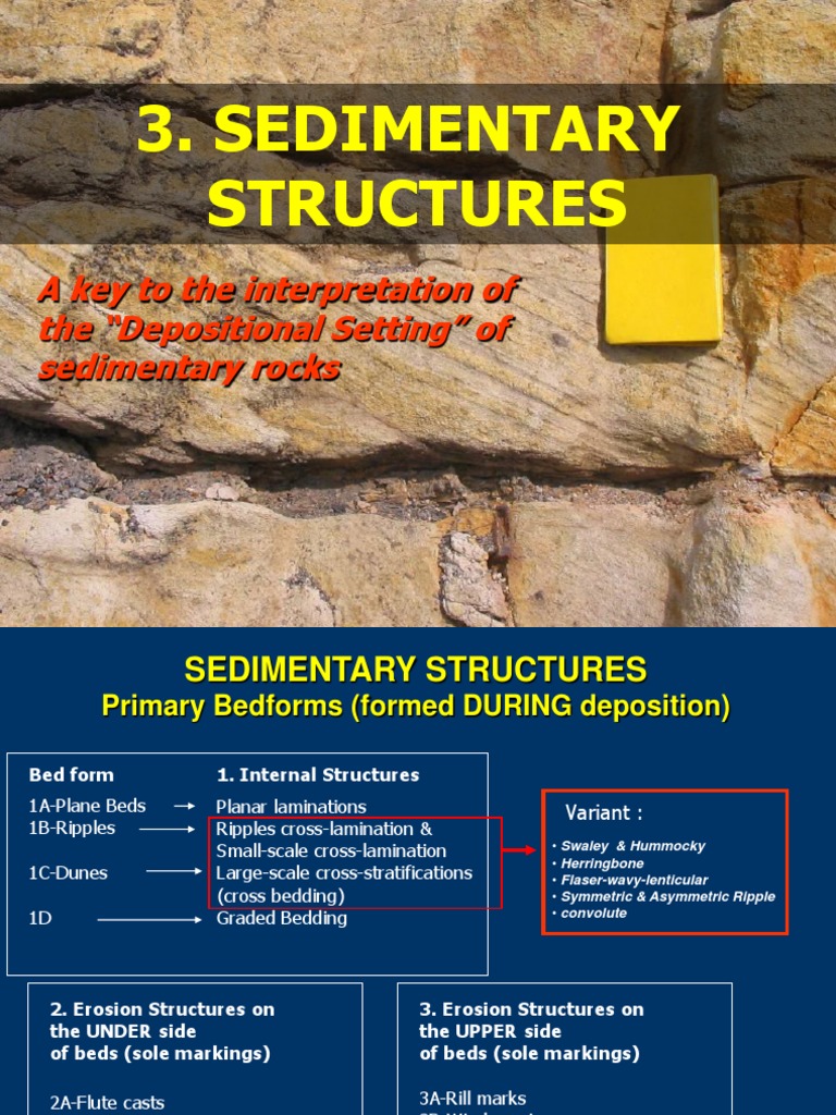 Sedimentary Structures and Bedforms Guide | PDF | Deposition (Geology ...