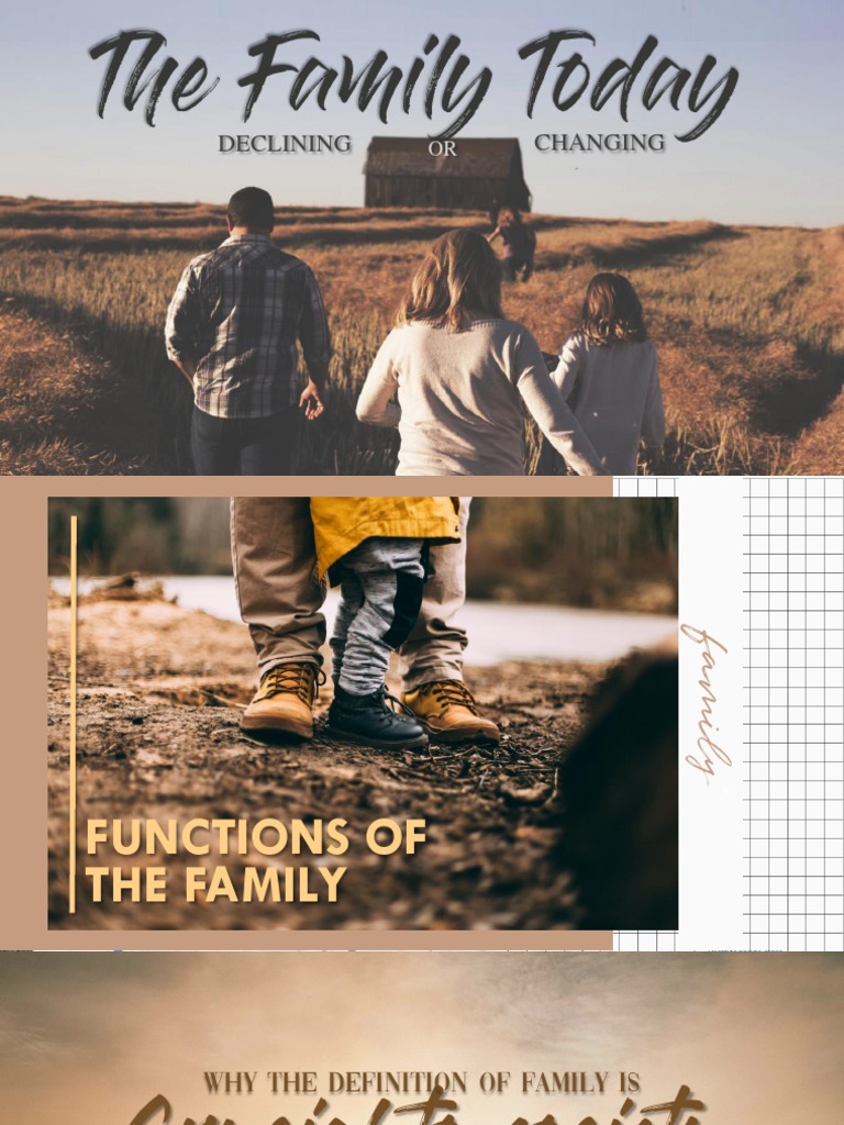The Family Today: Declining Changing | PDF | Social Science | Wellness