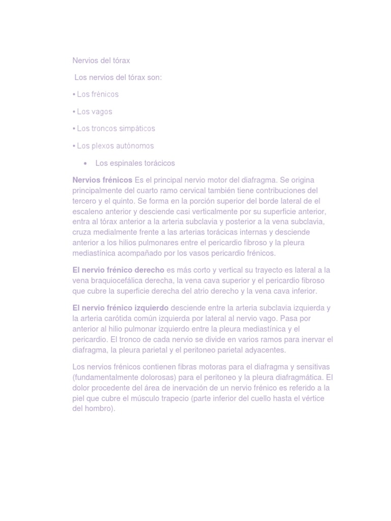 Nervios Del Tórax | PDF | Nervio vago | Tórax