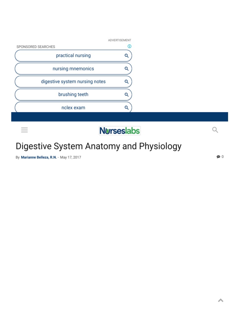 Digestive System Anatomy and Physiology - Nurseslabs | PDF | Stomach ...