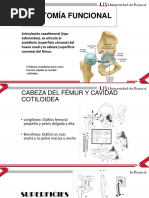 Articulación Coxofemoral Cuadro Integrador | PDF | Rodilla | Cadera