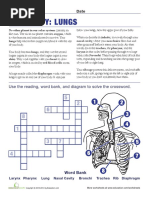 Respiratory System Practice Test | PDF | Respiratory Tract ...