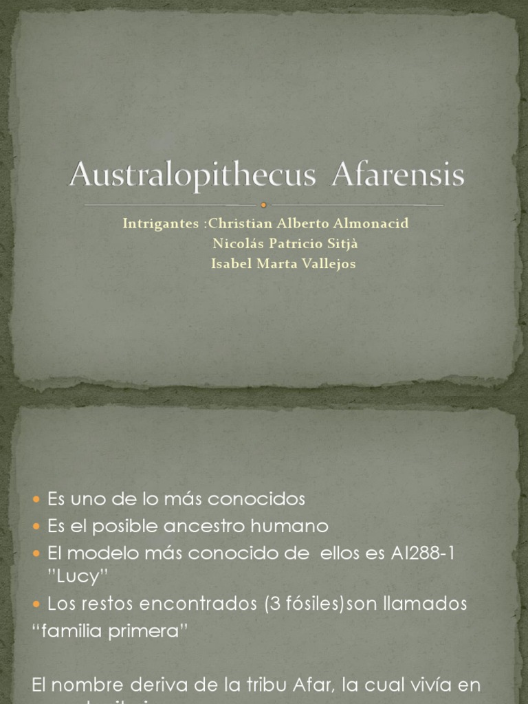Australopithecus Afarensis | PDF | Lucy (Australopithecus) | Paleontología
