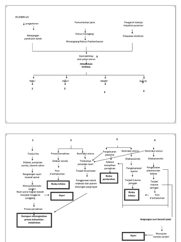 Pathway LP Inc Persalinan Normal Mahadiv | PDF