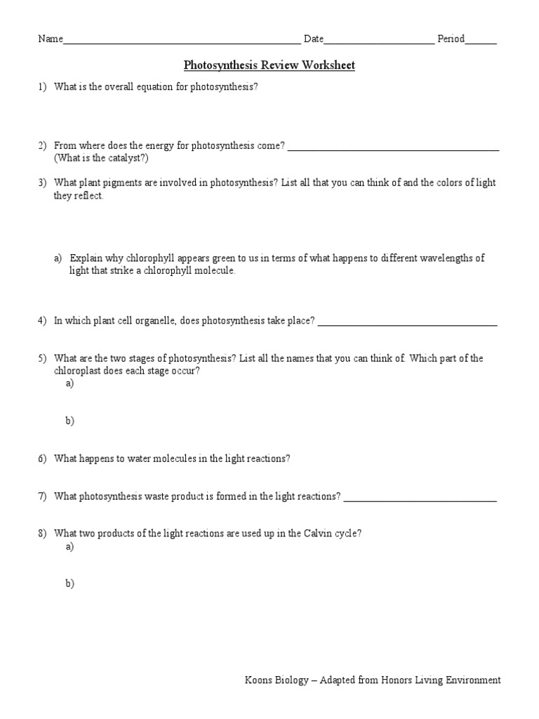Photosynthesis Review Worksheet Answers | PDF | Photosynthesis ...