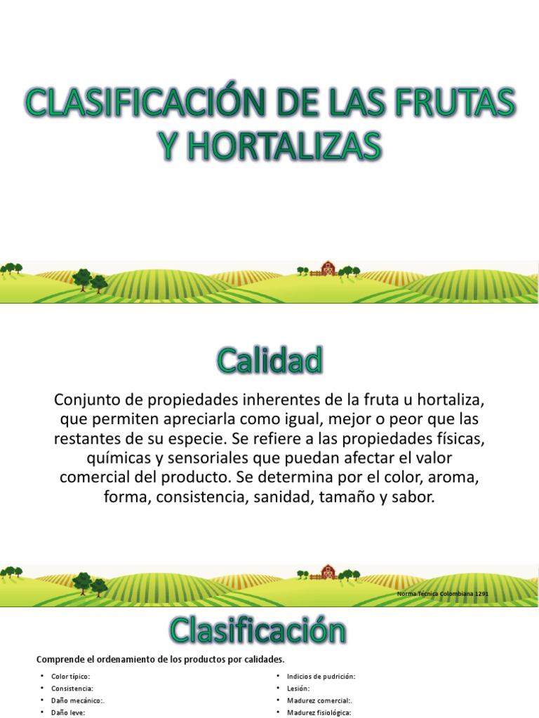 1.clasificación de Las Frutas y Verduras | PDF | Fruta | Vegetales