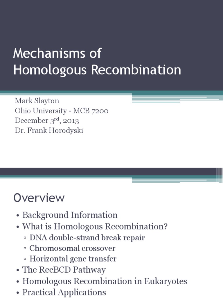 Homologous Recombination | PDF | Dna Repair | Genetic Recombination