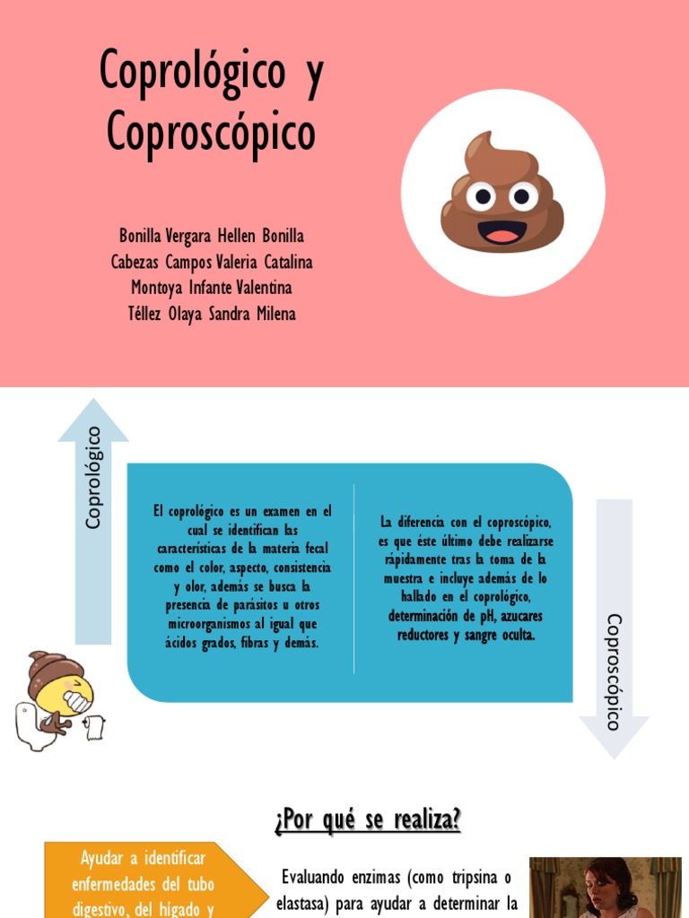 Diferencias entre coprológico y coproscópico | PDF | Heces | Diarrea