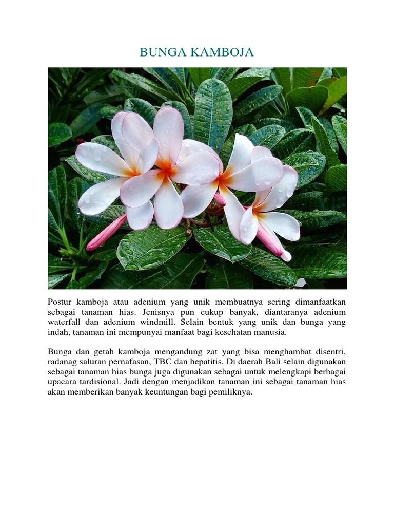 Bunga Indah Diindonesia | PDF