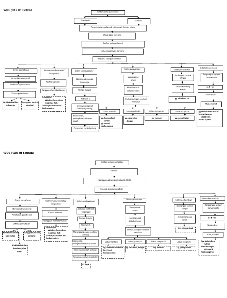 WOC CVA Infark Persistem | PDF