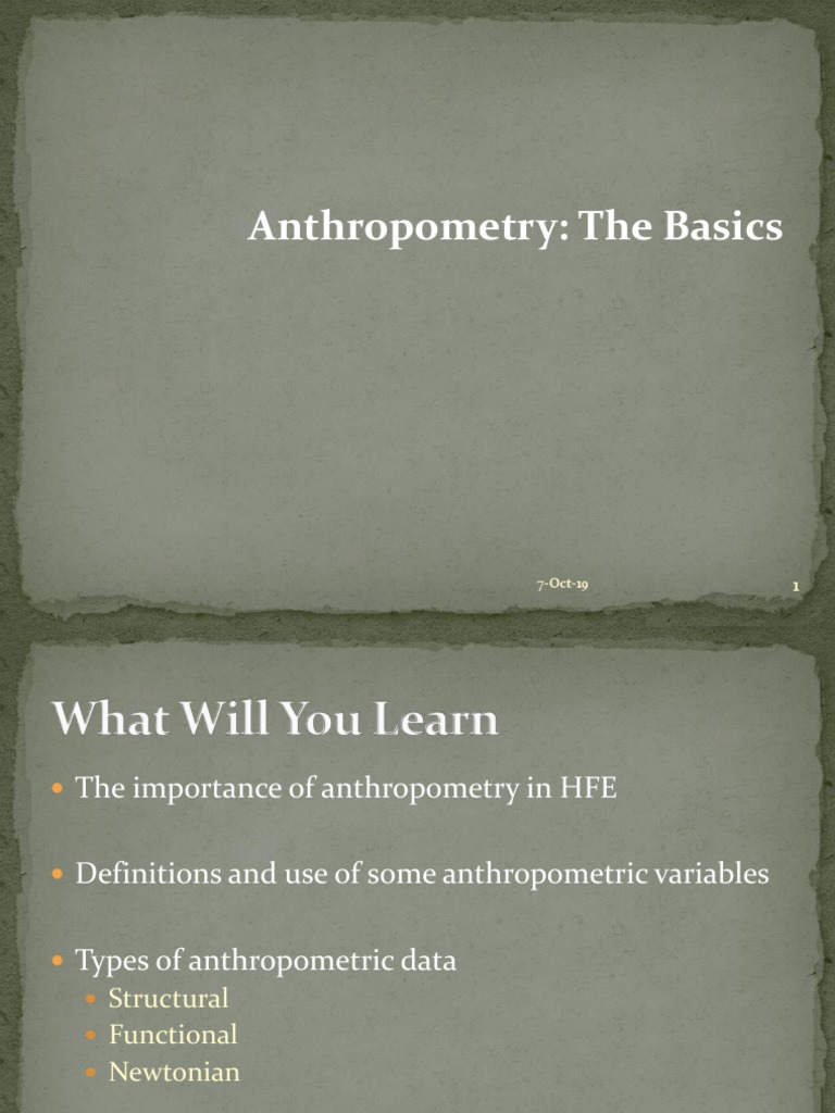 Anthropometry The Basics | PDF | Anthropometry | Anatomical Terms Of Motion