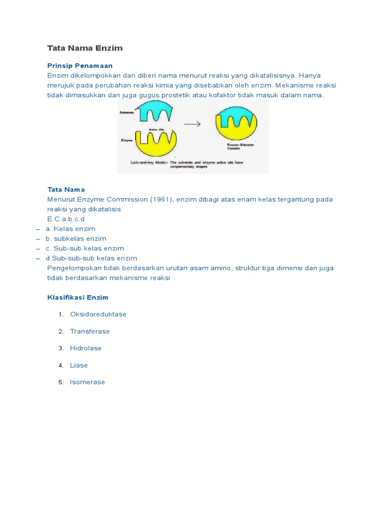 Tata Nama Enzim | PDF