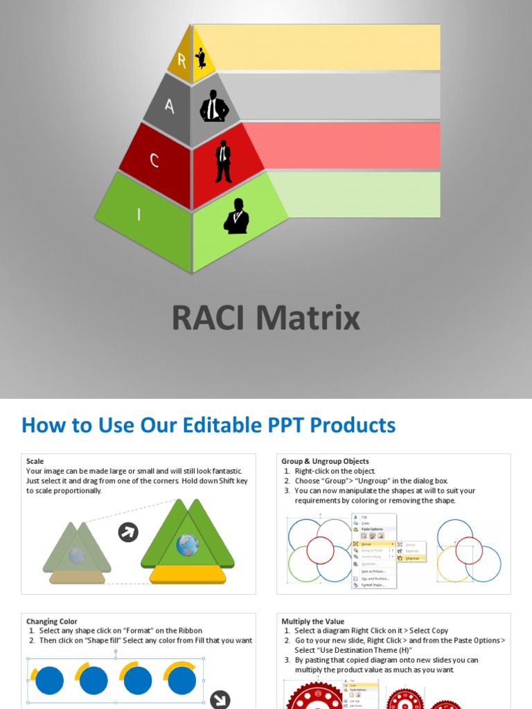 RACI Matrix | PDF | Software Testing | Project Management