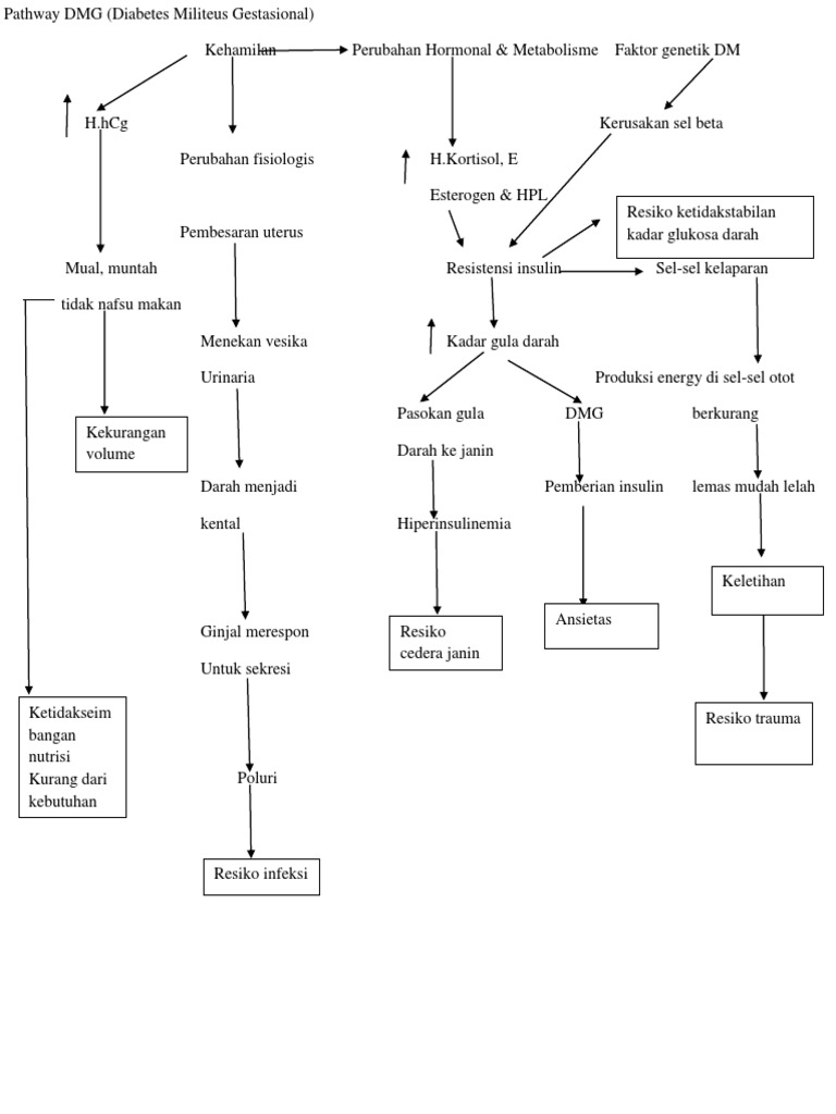 Pathway DM Gestaslll | PDF