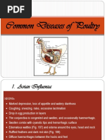 Medicine Chart For Chickens PDF | PDF | Medical Diagnosis | Health Sciences