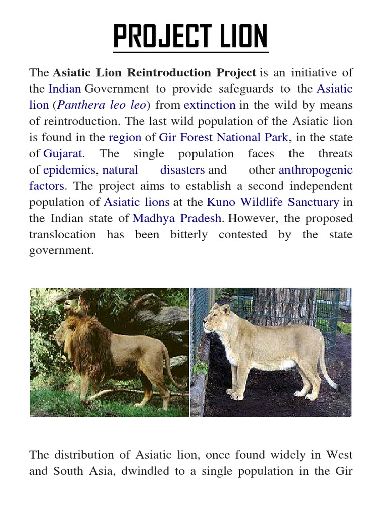Project Lion: Panthera Leo Leo | PDF | Ecology | Conservation