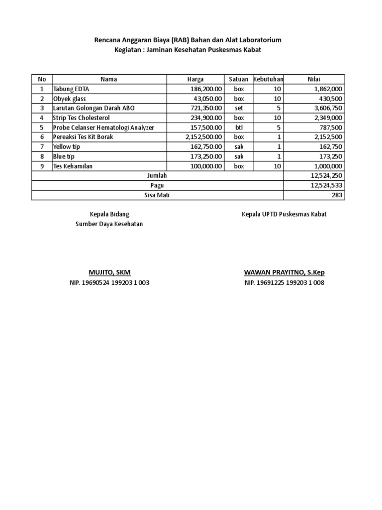 RAB JKN PAK PKM Kabat 2019 | PDF