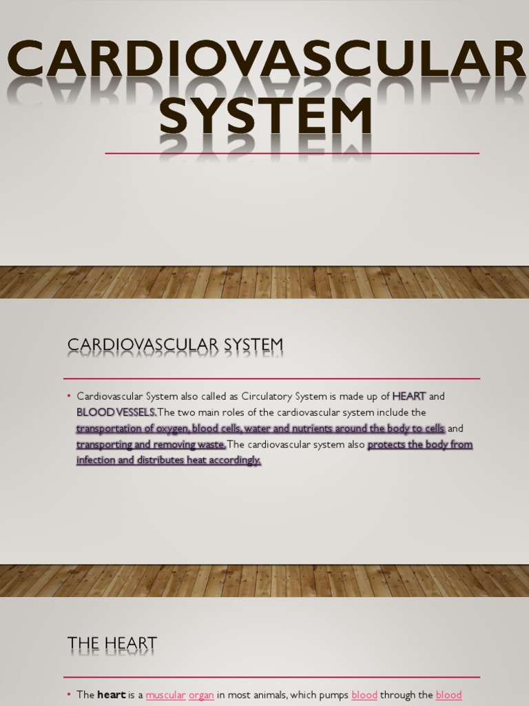 Animal Science (Cardiovascular System) | PDF | Heart | Circulatory System