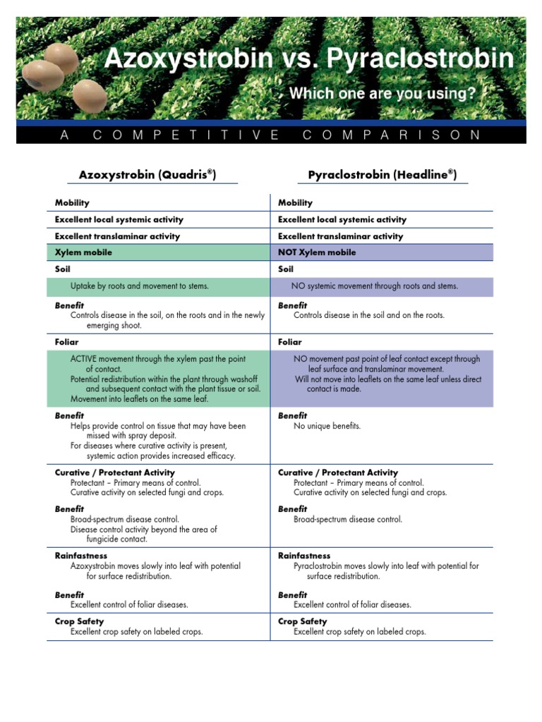 Azoxystrobin Vs Pyraclostrobin | PDF | Root | Leaf