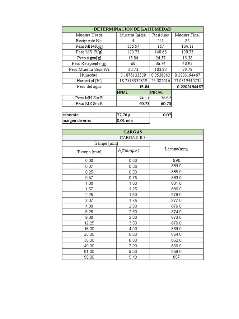 CONSO FINAL Final Beltran | PDF