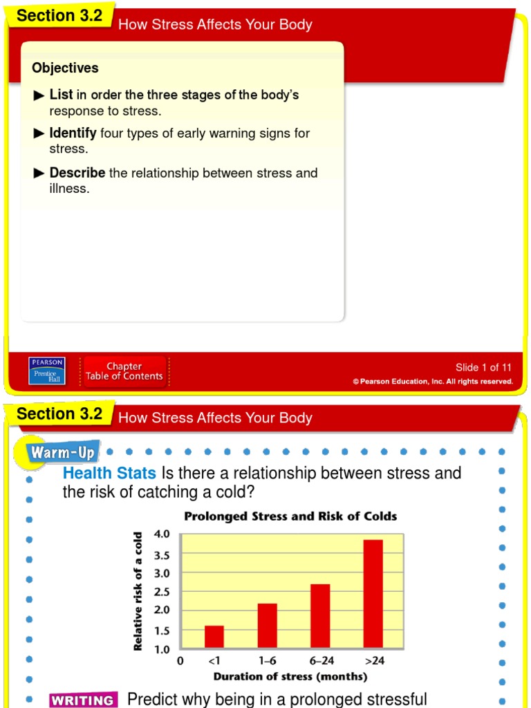 How Stress Affects Your Body How Stress Affects Your Body: in Order The ...