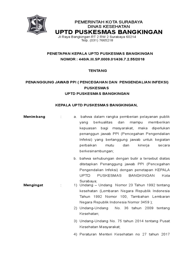 SK PJ Ppi Terbaruuu | PDF