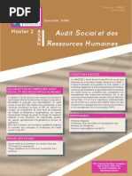 Audit Des Ressources Humaines | PDF | Audit | Audit interne