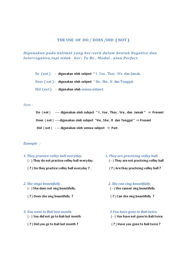 Use of Do Does Did in Negative and Interrogative Sentences | PDF