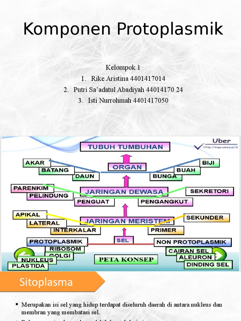 KOMPONEN PROTOPLASMA | PDF