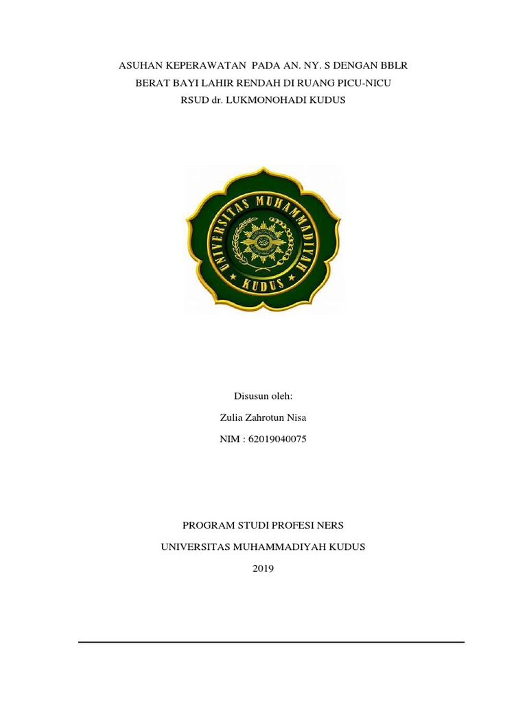 Picu Nicu. LK BBLR | PDF