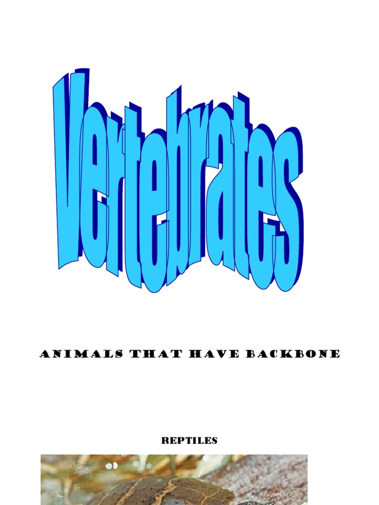 Animals That Have Backbone: Reptiles | PDF