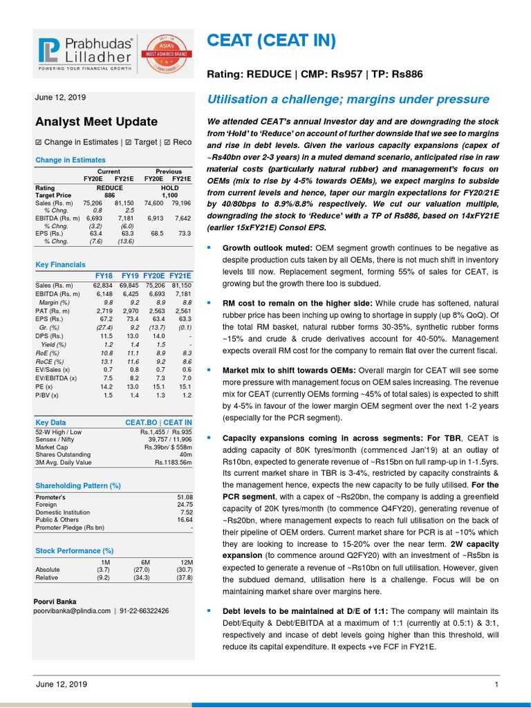 CEAT Annual Report 2019 | PDF | Financial Analyst | Securities Research