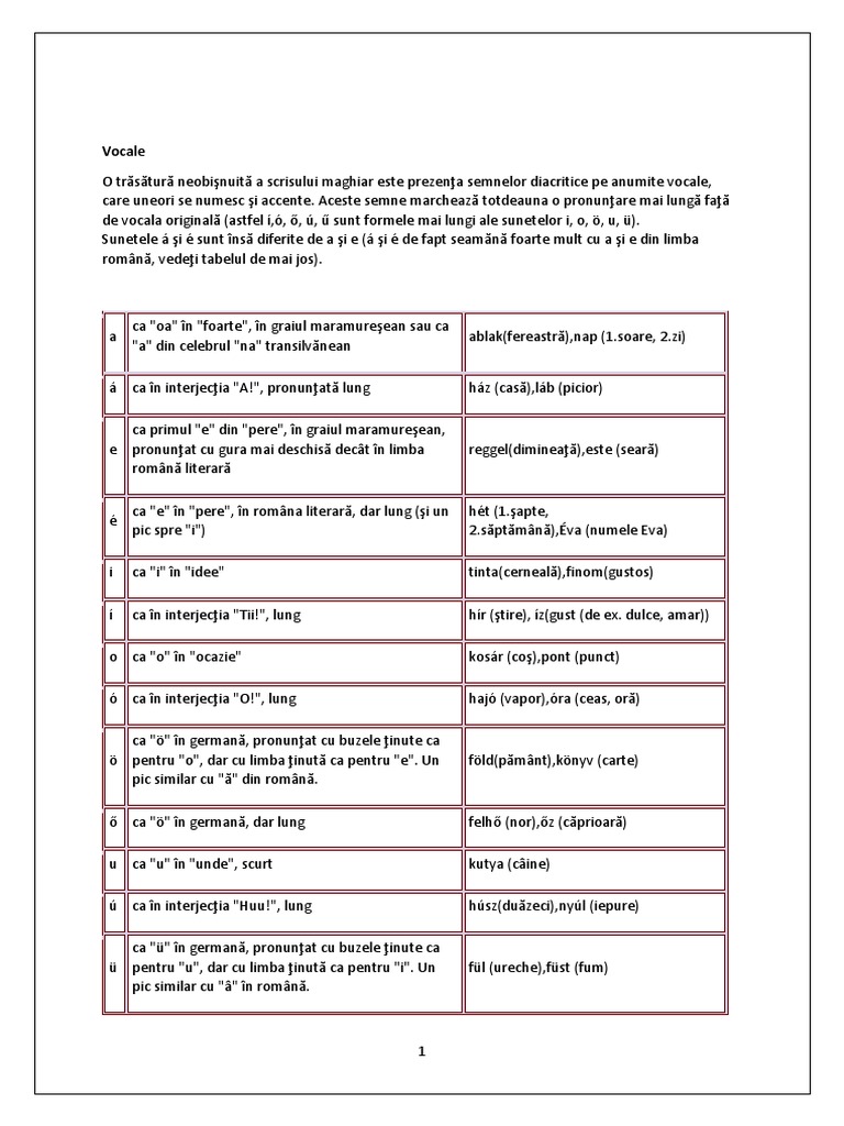 Gramatica Limba Maghiara | PDF