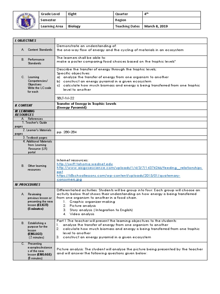 Lesson Plan Energy Pyramid | PDF | Food Web | Biomass (Ecology)