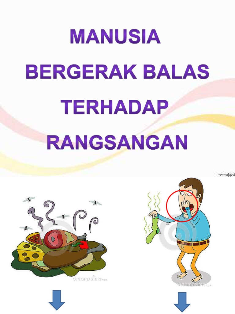Gerak Balas Terhadap Rangsangan | PDF